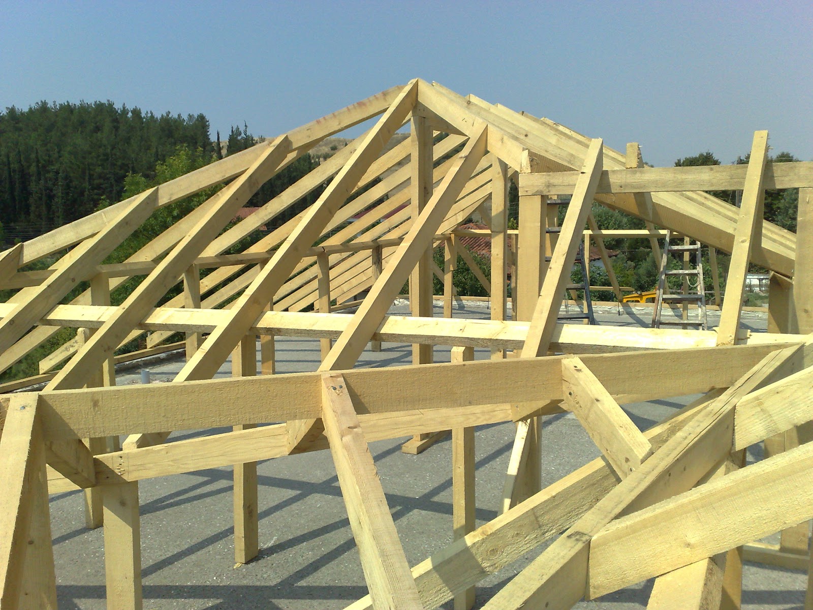 ΞΥΛΙΝΗ ΣΤΕΓΗ 1