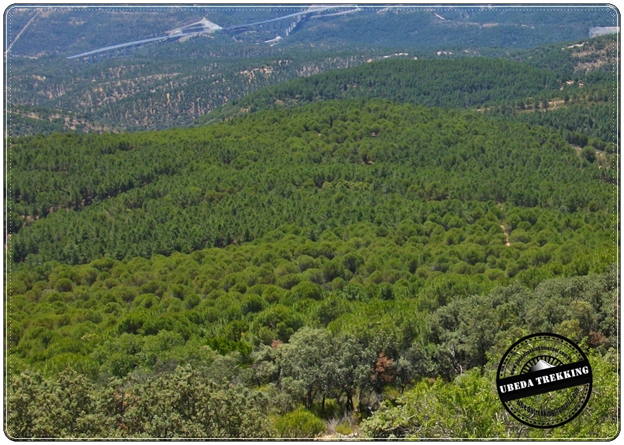 ÚBEDATREKKING : RUTA 075 - (OT) - MIRANDA DEL REY, PICO ESTRELLA ...