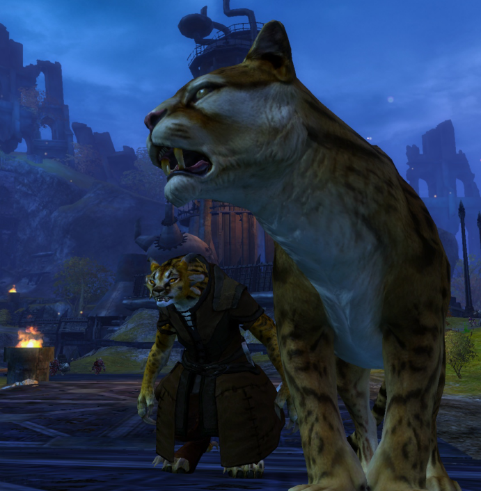 Stable Master's Resource: Guild Wars 2 vs World of Warcraft: Pets