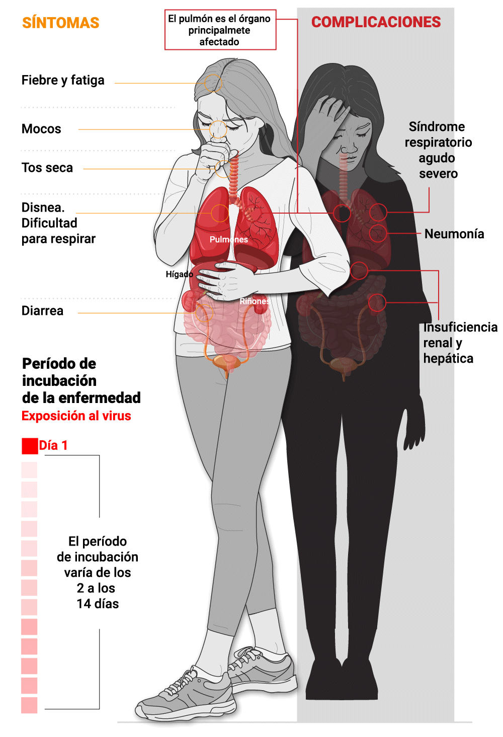 Cuáles son los síntomas, cómo se contagia y todo lo que hay que saber ...