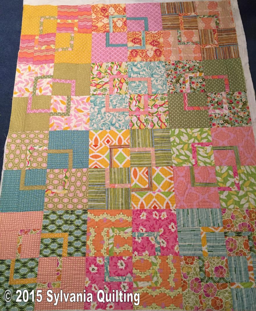 Sylvania Quilting: Amy Butler fabrics quilt