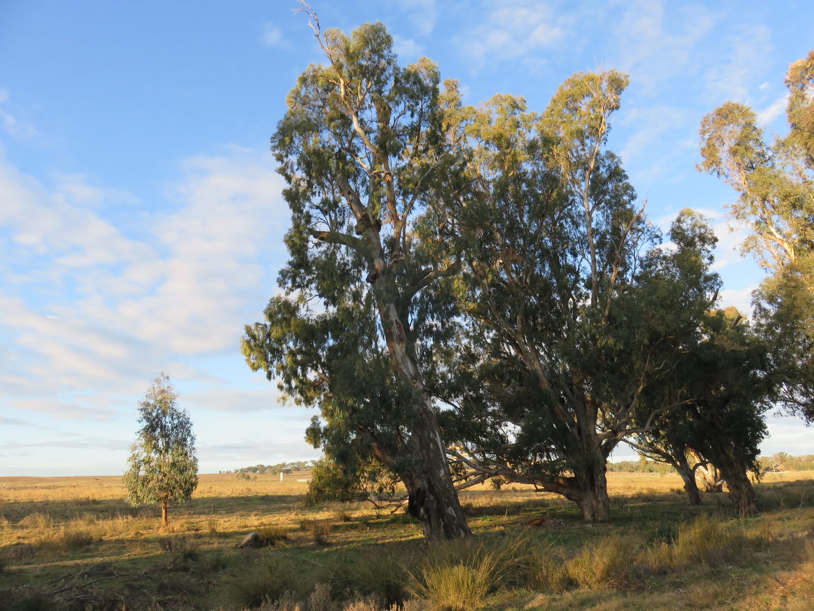 jannimary: A Long, Long Weekend Part 4 - Camping at Ponto Falls