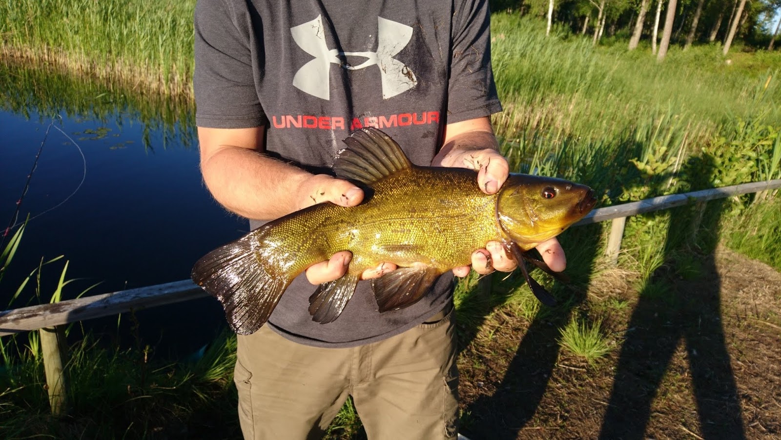 Erik Frodig | Förberedelser inför en ny fisketyp, specimenmete efter ...