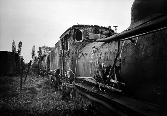 F 180 AND BE THERE: Paper Negatives