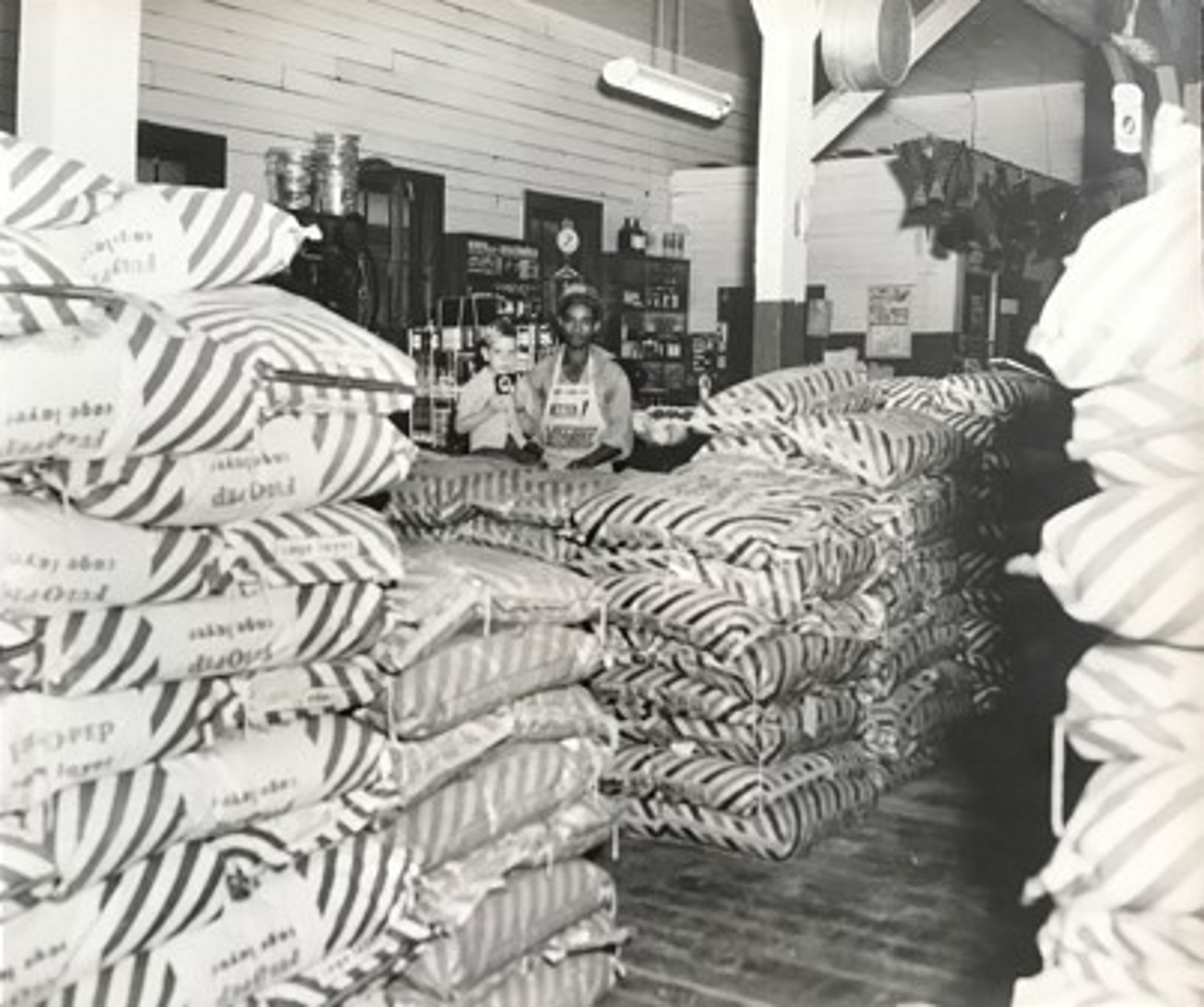 Tammany Family: The Talley Family Story Told At CHF Meeting