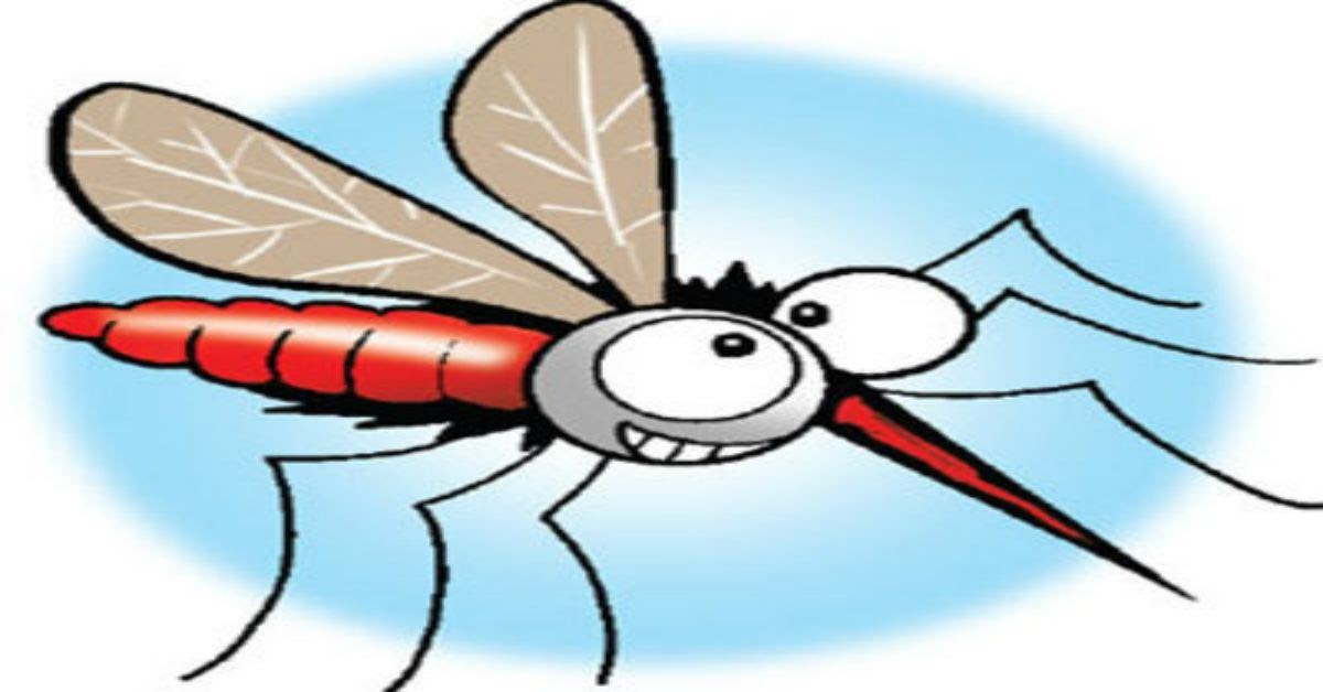 Teaching Learning Material: Machchar