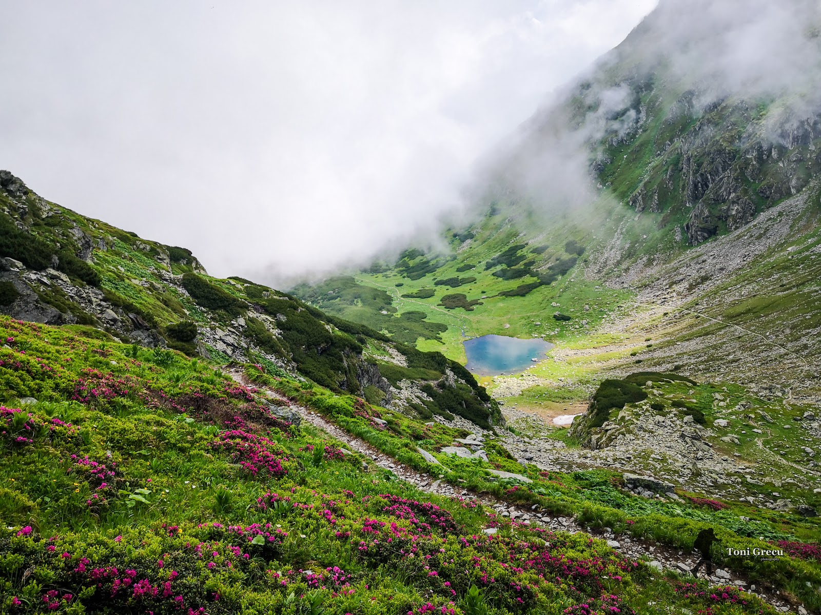 Vârful Pietrosul Rodnei - Vârful Buhăescu Mare ~ Jurnal de drumeții