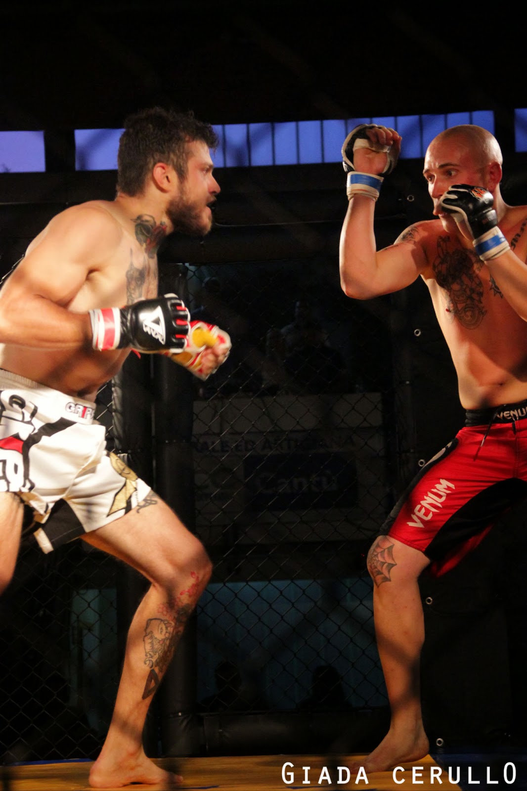 ACCADEMIA KAMA: Le MMA che piacciono