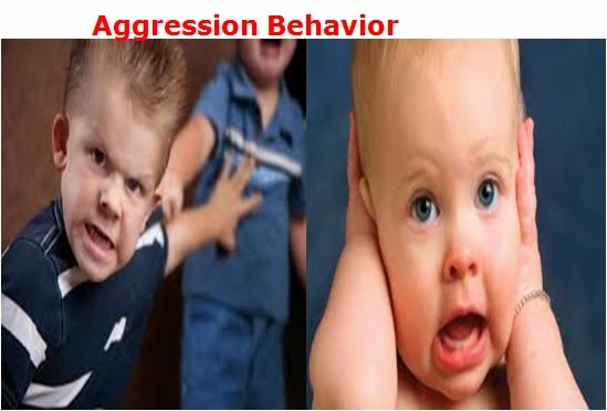 monofamiles: Aggressive Behavior