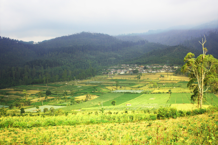 Profil Desa ~ WISATA EDUKASI Pujon Kidul