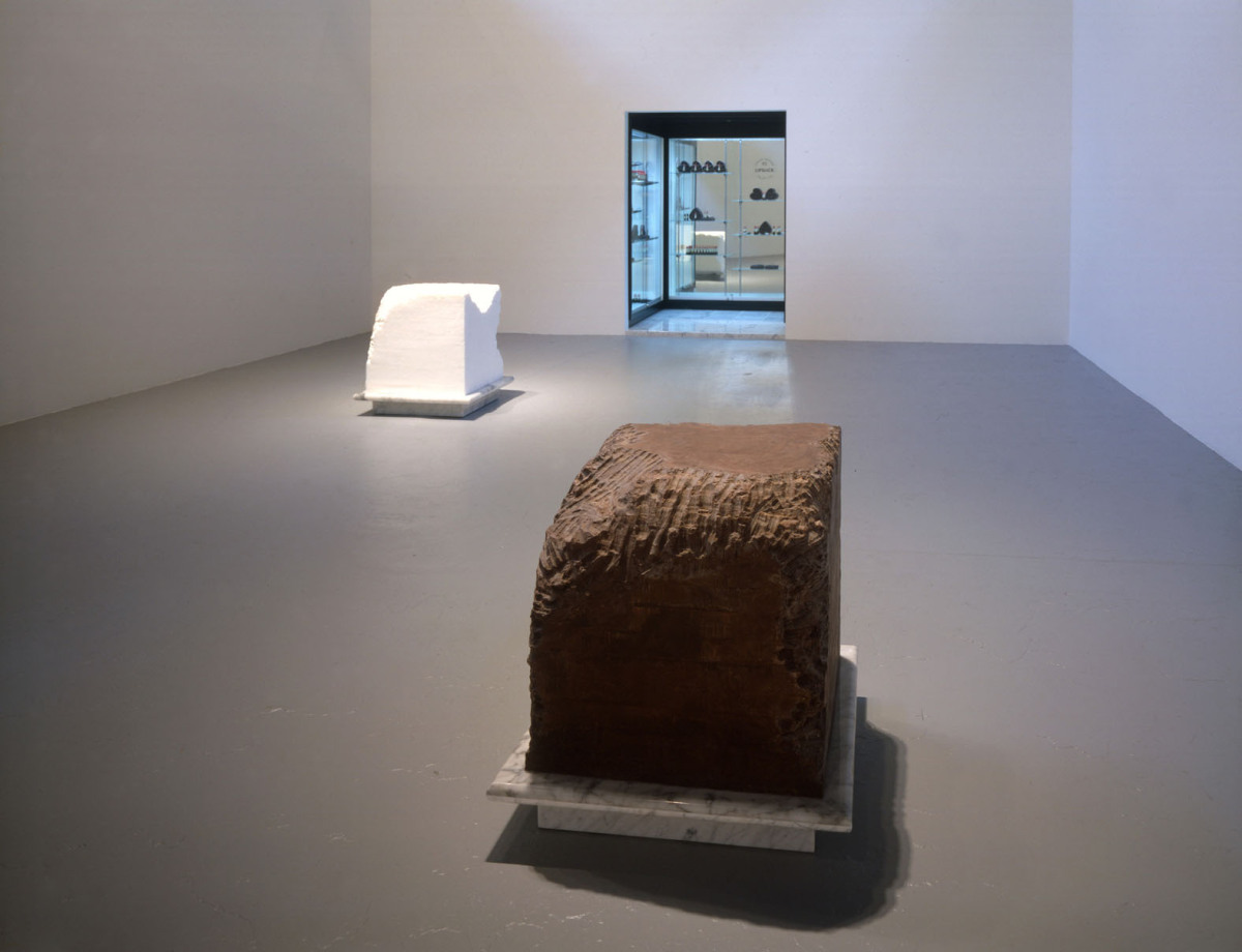 Molly's Artist Diary: Janine Antoni