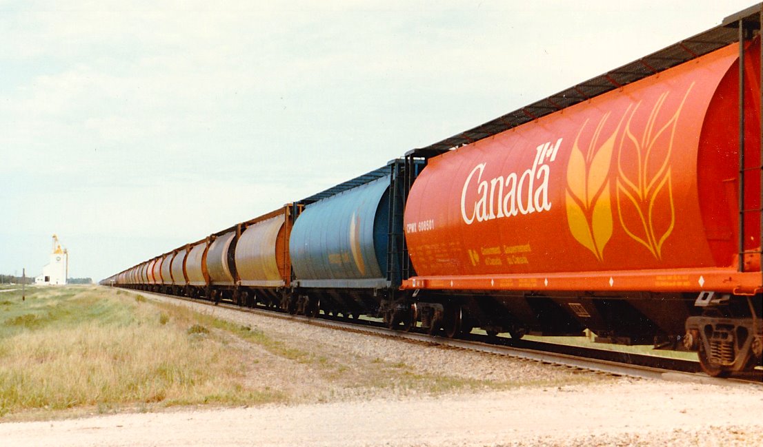 Trackside Treasure: Canada's Grain Fleet - Covered Hoppers