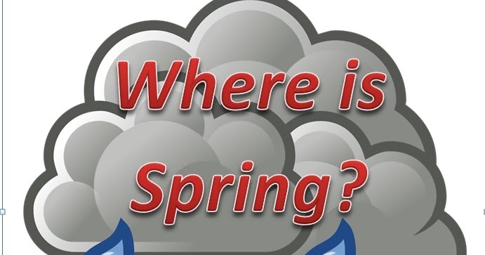 The Second Half of My Life: Where Is Spring?