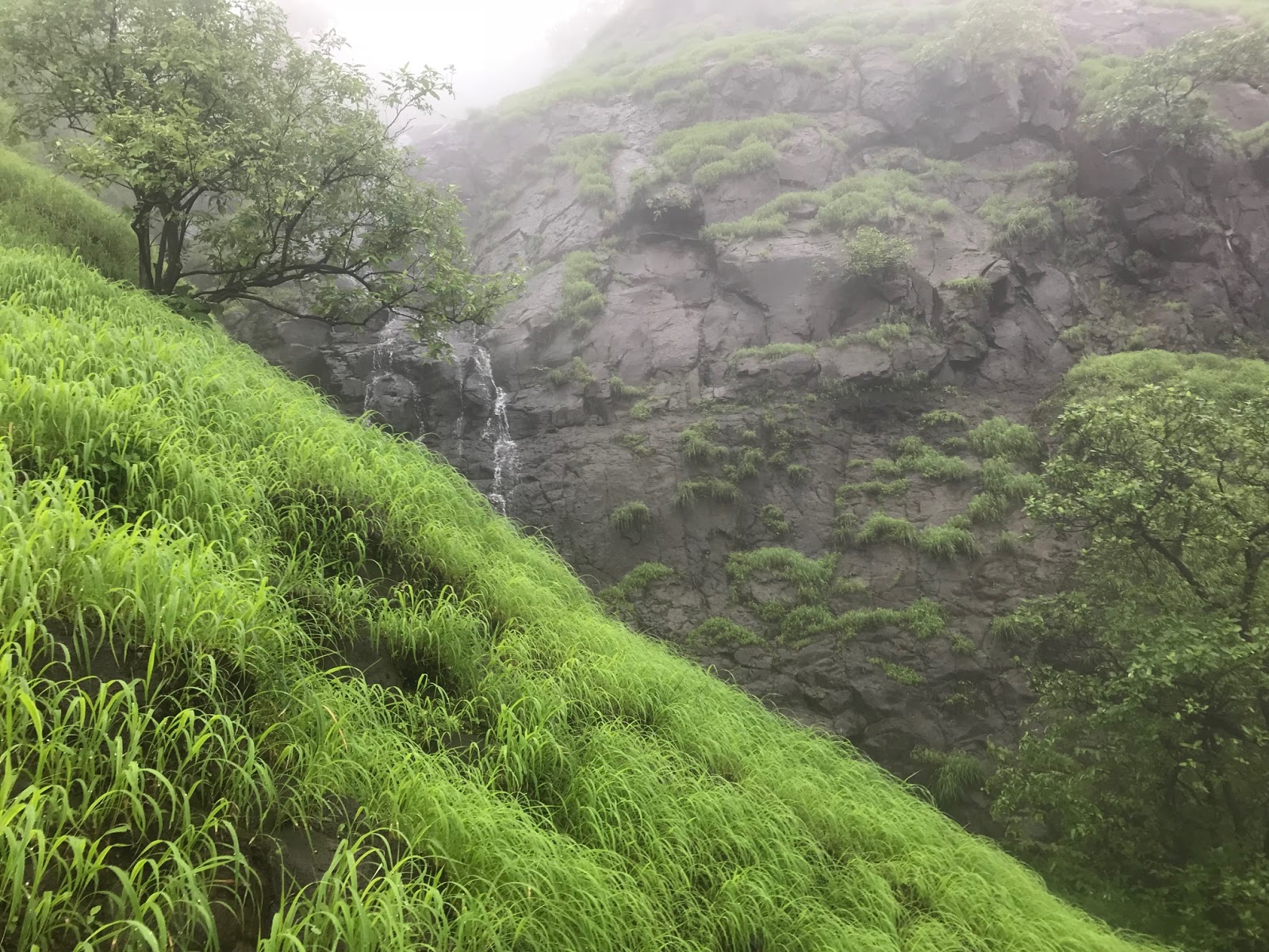 Forts of Sahyadri: A memorable trek to Madhe Ghat and Upandya Ghat
