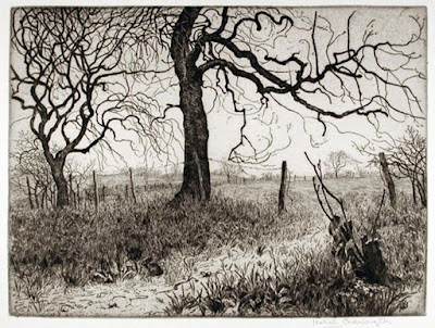 37 Isabel Codrington (1873-1943)