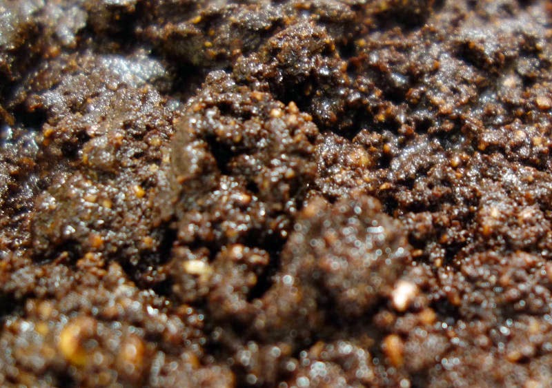 Gluten Free Blog: Recipe : Nutella-like, but better, Hazelnut / Cocoa ...