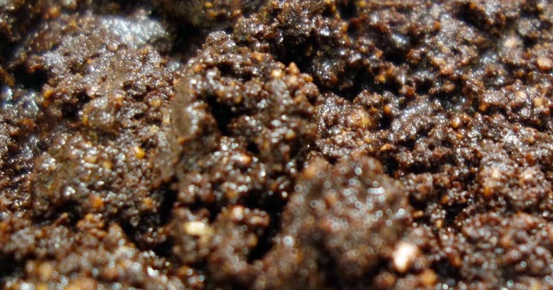 Gluten Free Blog: Recipe : Nutella-like, but better, Hazelnut / Cocoa ...