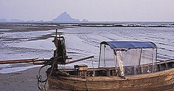 Destructive Fishing Techniques And By-Catch - We Hobby