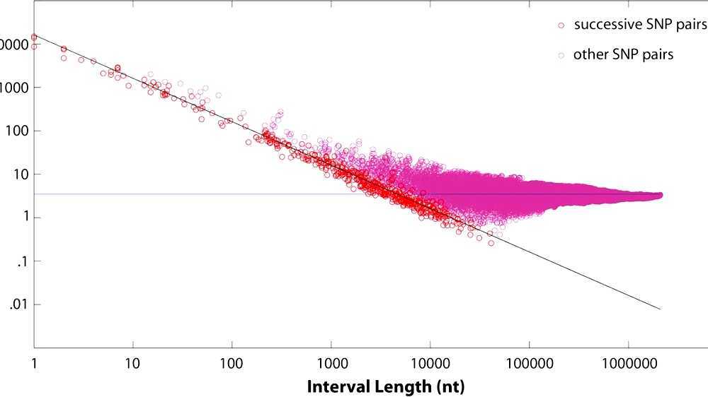 Linear trend estimation
