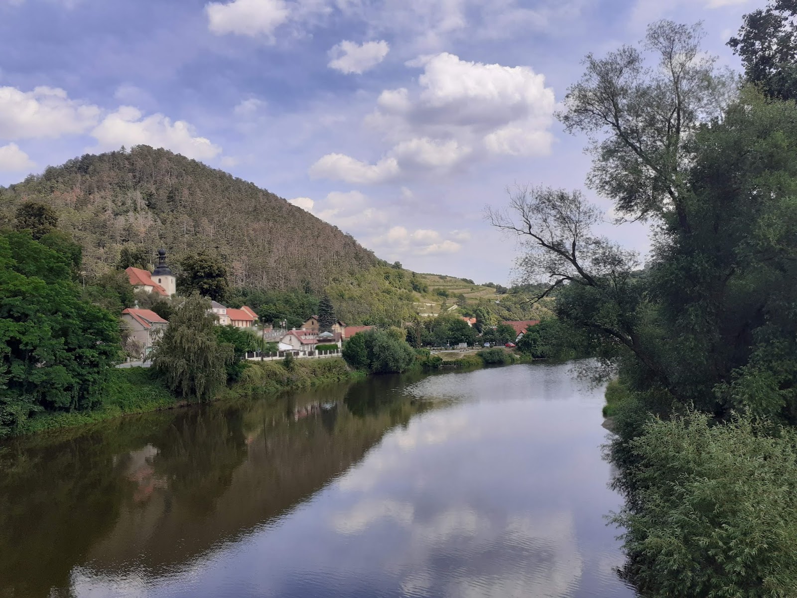 Sister Brylee Lewis: "Chicken Nuggets, Grand McSundae and Alcohol"