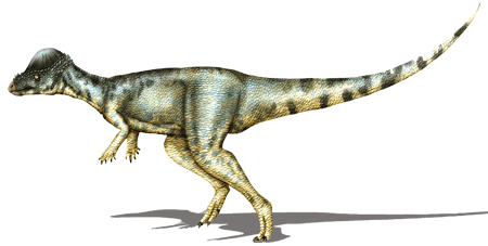 Los animales en la prehistoria: Animales prehistóricos con la letra A