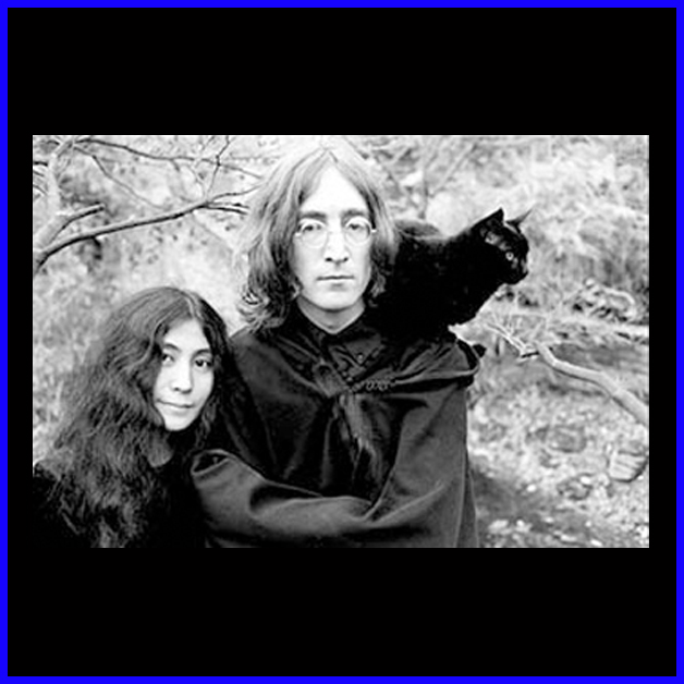 Pretty Awesome...For a Girl.: The Beatles and Cats