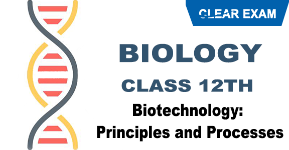 NCERT Solutions for Class 12 Biology Chapter 11 - Biotechnology ...