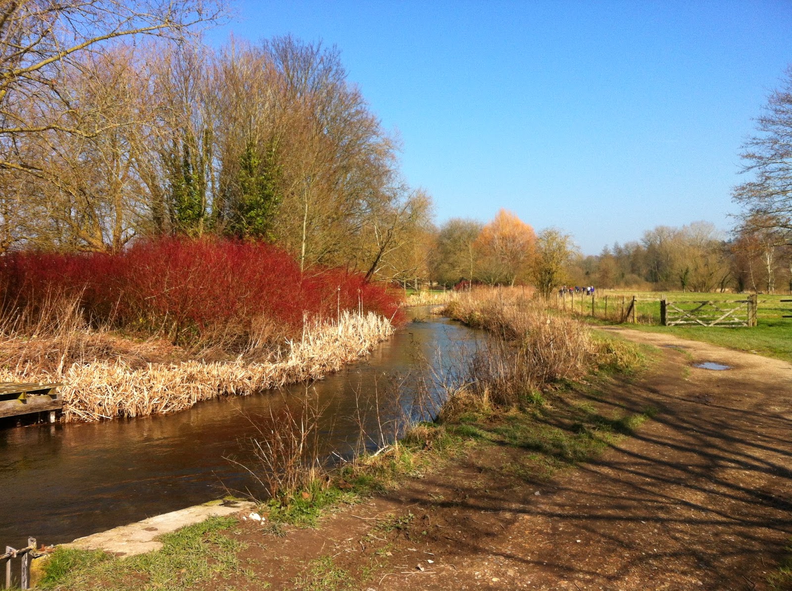 Visiting Winchester as a Day Trip from London | A Little Further North