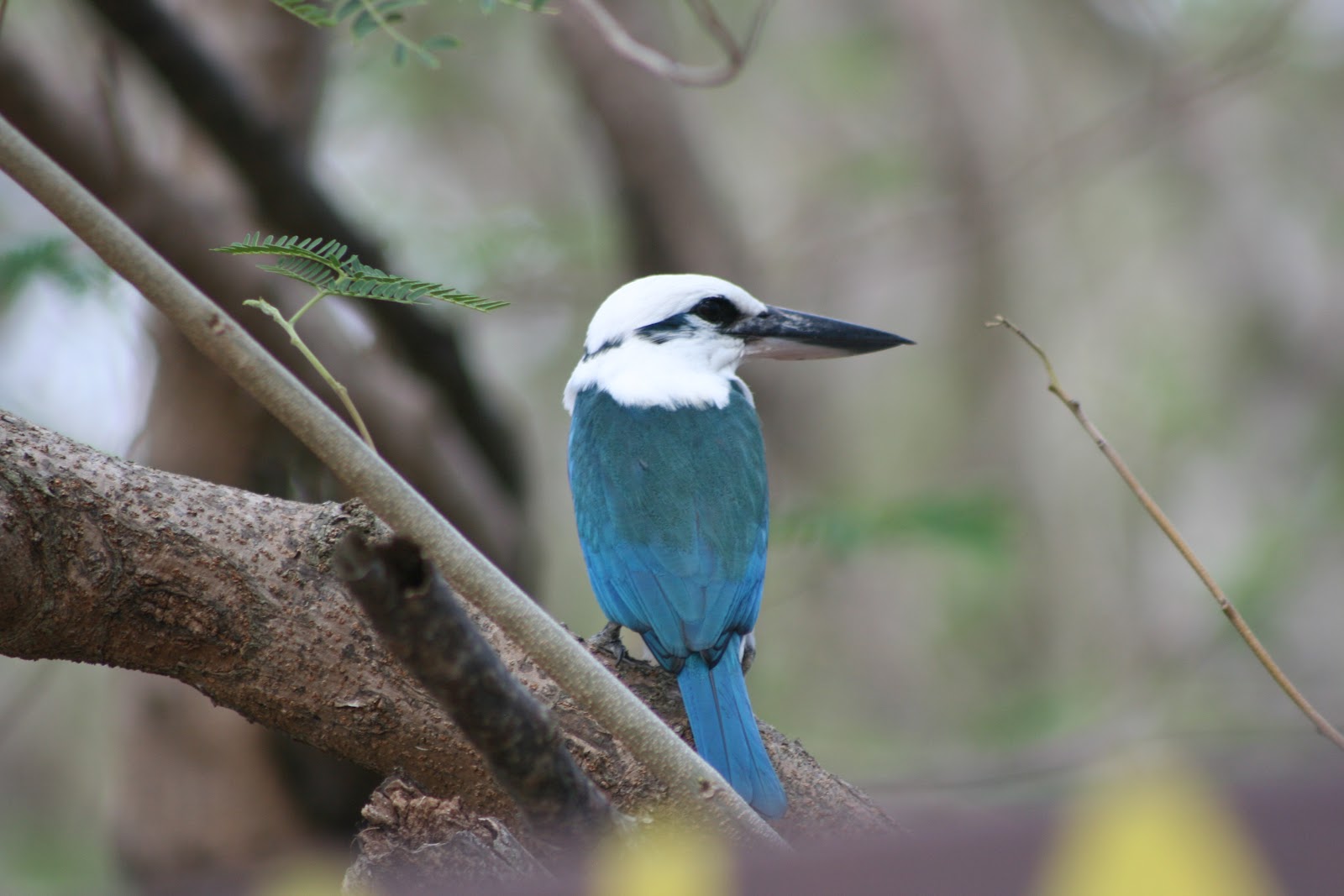 My Time in the Mariana Islands