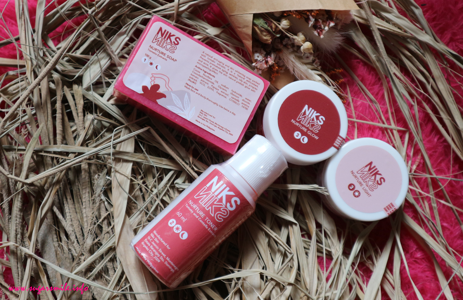 How to Improve Your Skin and Score a Business Opportunity with Niks ...