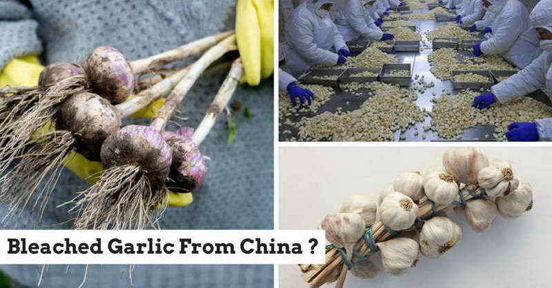 29 Genius Test Answers So Wrong They’re Right