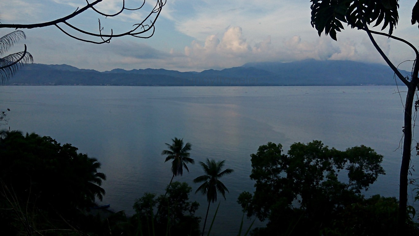 Out of Saint Bernard