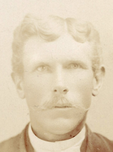 I Dig My Roots and Branches: Anna Marie Strate