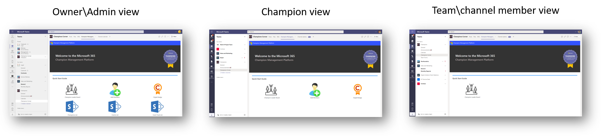 Review of the Champion Management Platform App