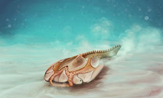 Life Before the Dinosaurs: Drepanaspis.