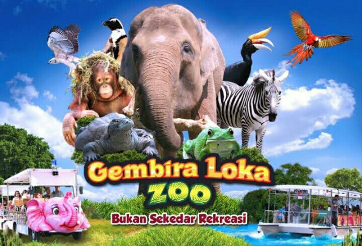 Harga Tiket Masuk Gembira Loka Zoo 2022. Lokasi, Wahana & Jadwal Pertunjukkan - Jejak Kenzie
