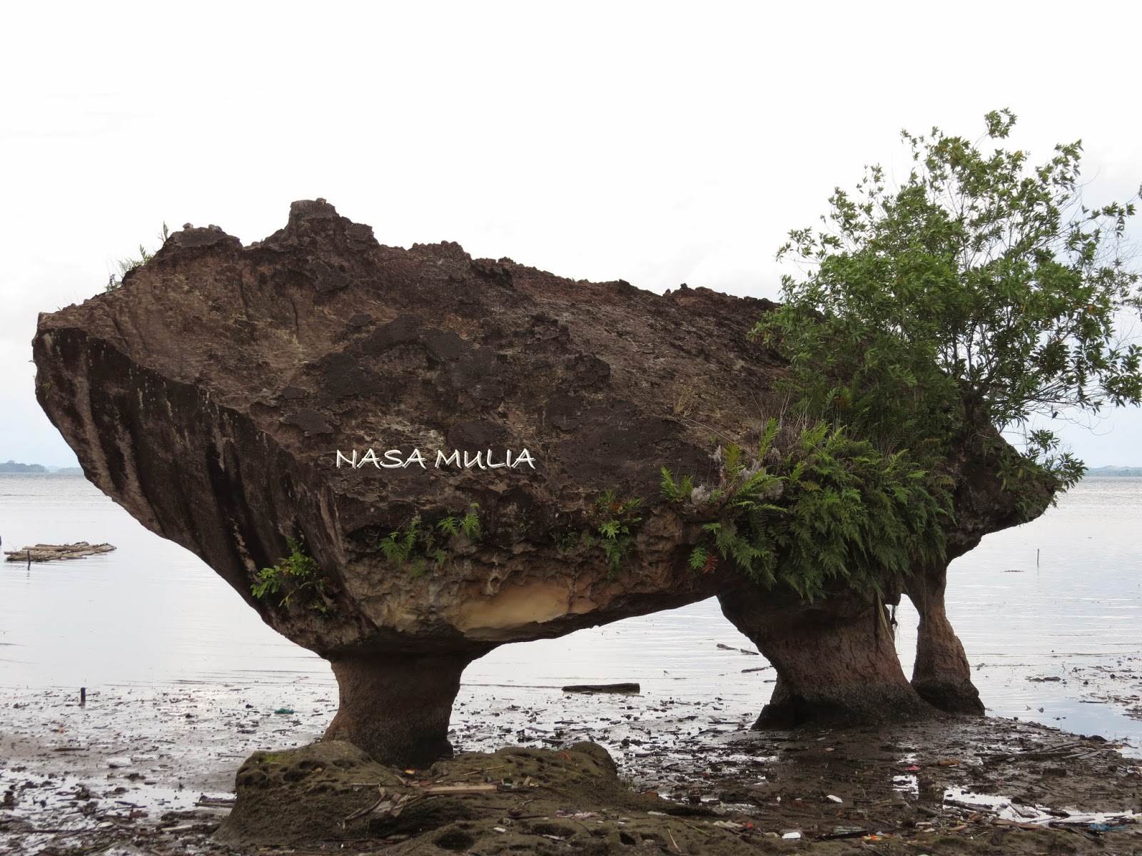 warna warni hidupku..............: Batu Sapi Heritage Park, Sandakan