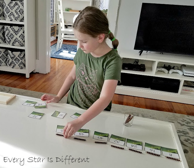 Montessori-inspired Arachnid Activities for Preschoolers with Free ...