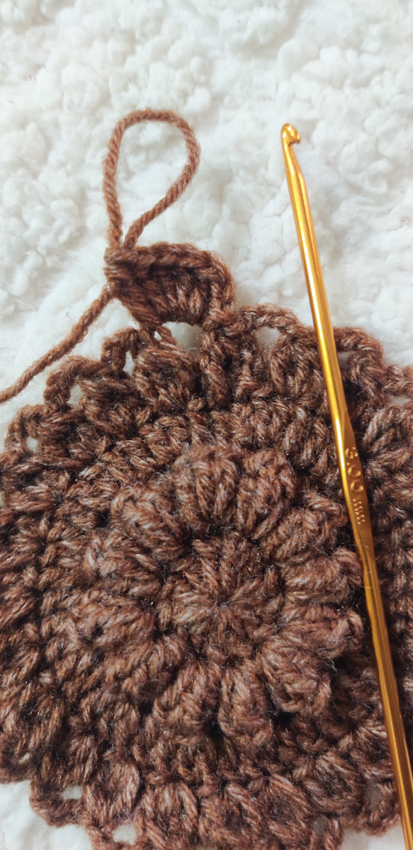 Raji's Craft Hobby: How to make a Round Textured Crochet Flower Tablemat