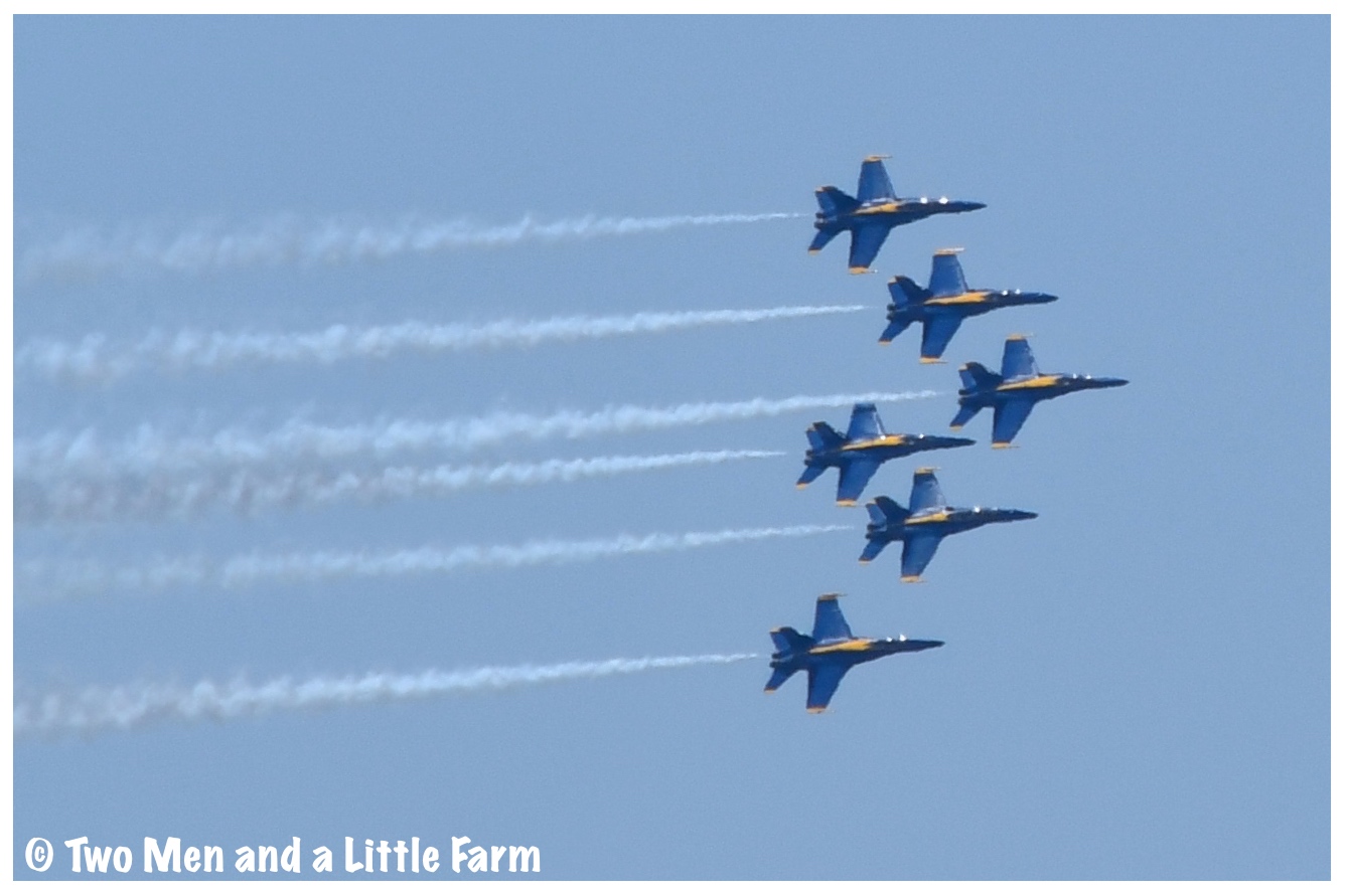 Two Men and a Little Farm: THE BLUE ANGELS IN HOUSTON