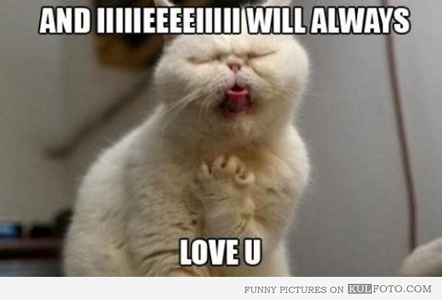 Romantic Messages + Flirty Text Messages = Everlasting Love: Funny Gifs ...