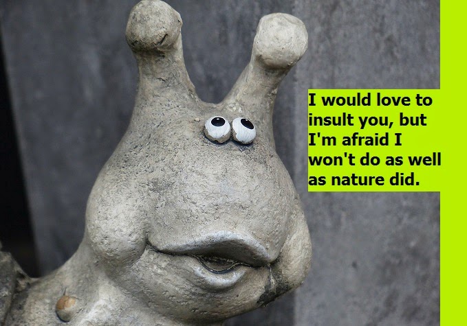 The Witty Insults and Clever Comebacks Studio: 20 Witty Insults and ...