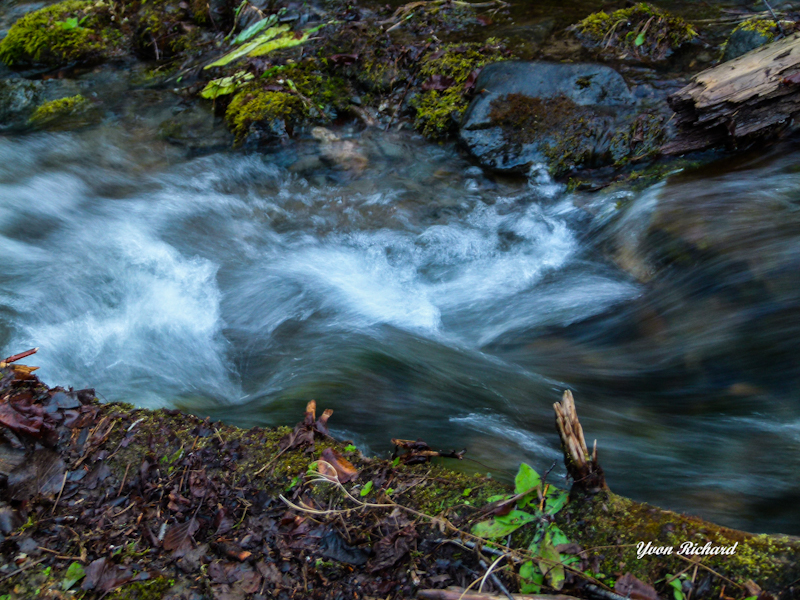 Images d'un retraité: File l'eau, au gré du ruisseau.