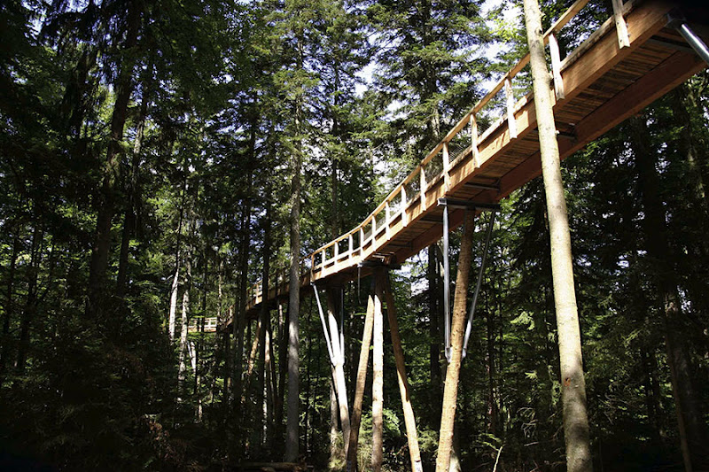 Pix Grove: World's Longest Tree Top Walk