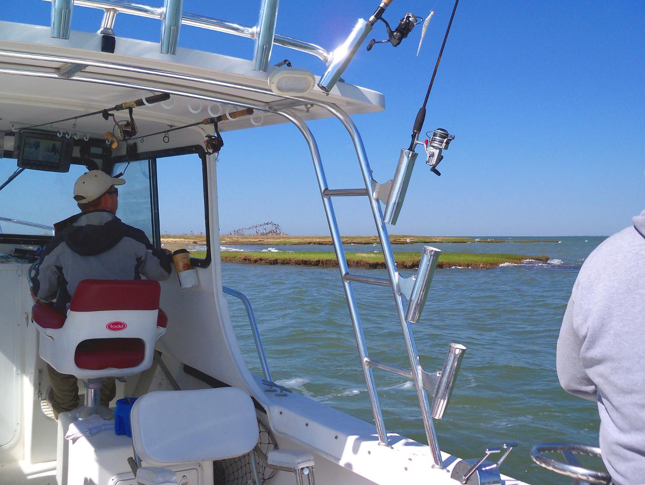 A View from the Beach: 22 Rescued Off Bloodsworth Island