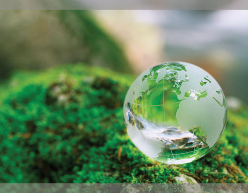 Advanced Biological Architecture: NATURE'S DESIGN PRINCIPLES