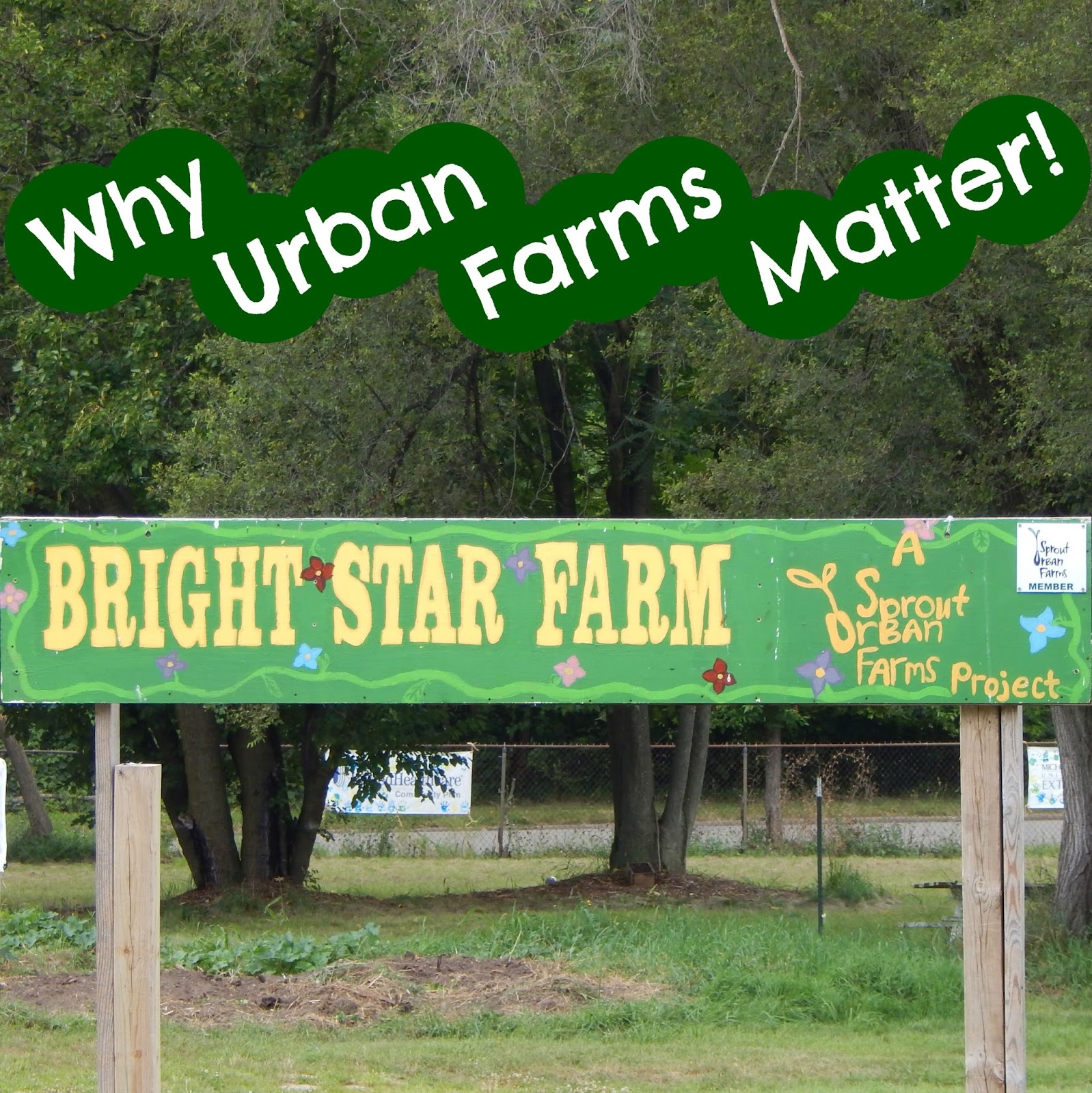 Why Urban Farms Matter - The (mis)Adventures of a Homesteadin' Mama