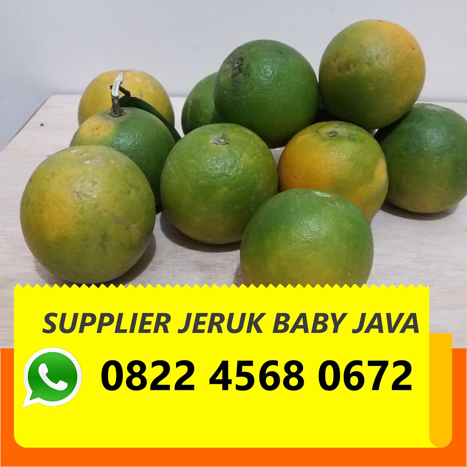 Supplier Jeruk Baby Java | 0822-4568-0672