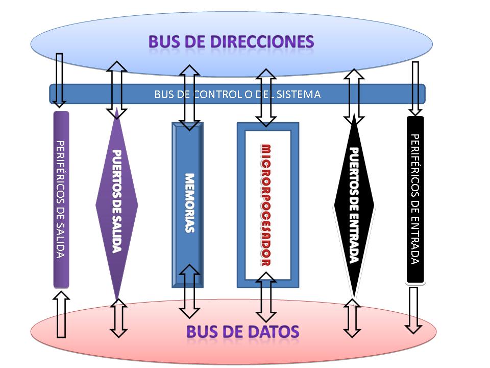 D'MARCEL: BUSES DE DATOS