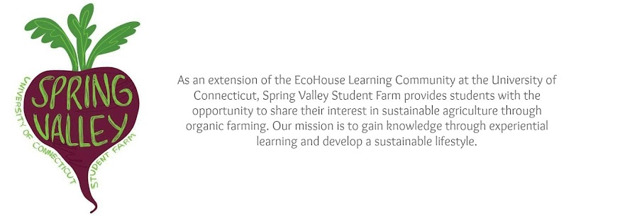 Spring Valley Student Farm | Summer Student Activities